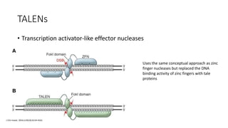 Gene editing.pdf