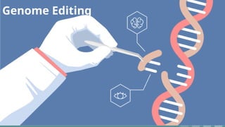 Gene Editing presentation on CRISPR-Cas9 | PPTX