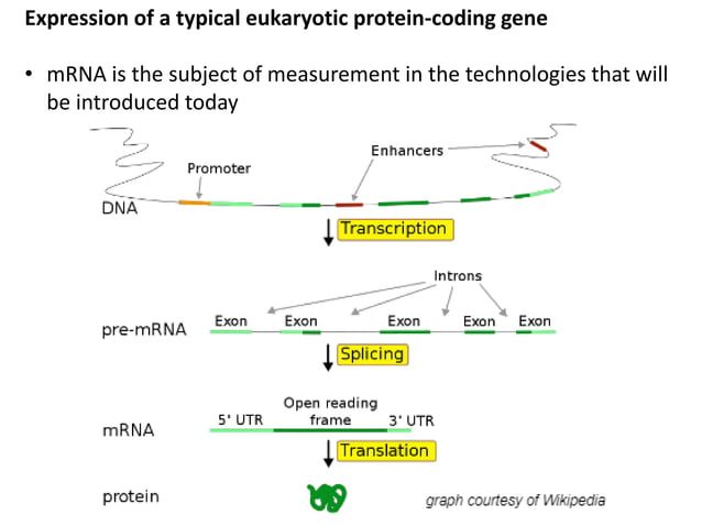 Gene exp-expression models-techniques.pdf