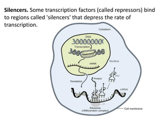Gene exp-expression models-techniques.pdf