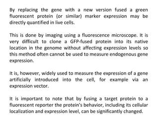 Gene expresion | PPT | Biological Sciences | Science