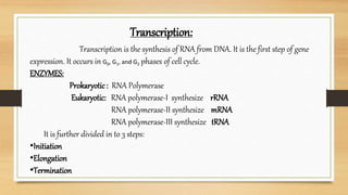 Gene Expression-1.pptx | Programming Languages | Computing