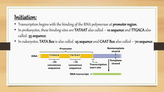 Gene Expression-1.pptx | Programming Languages | Computing