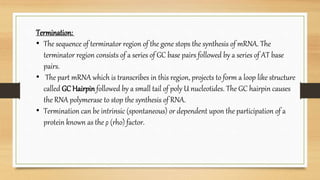 Gene Expression-1.pptx | Programming Languages | Computing