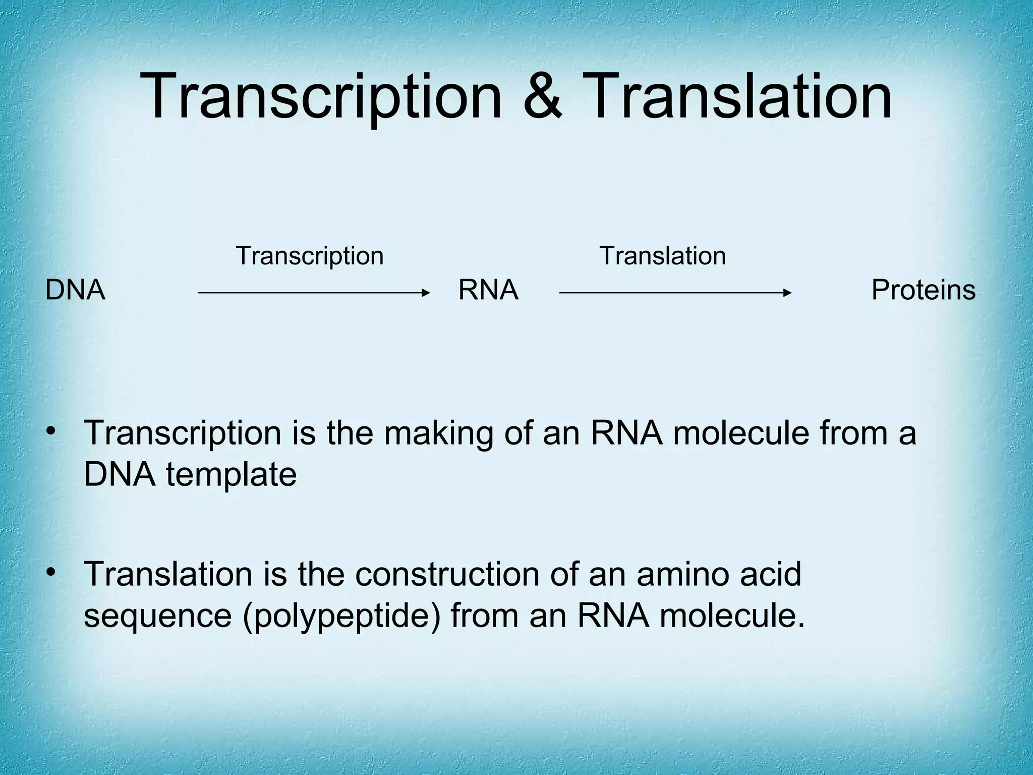 Gene expression | PPT