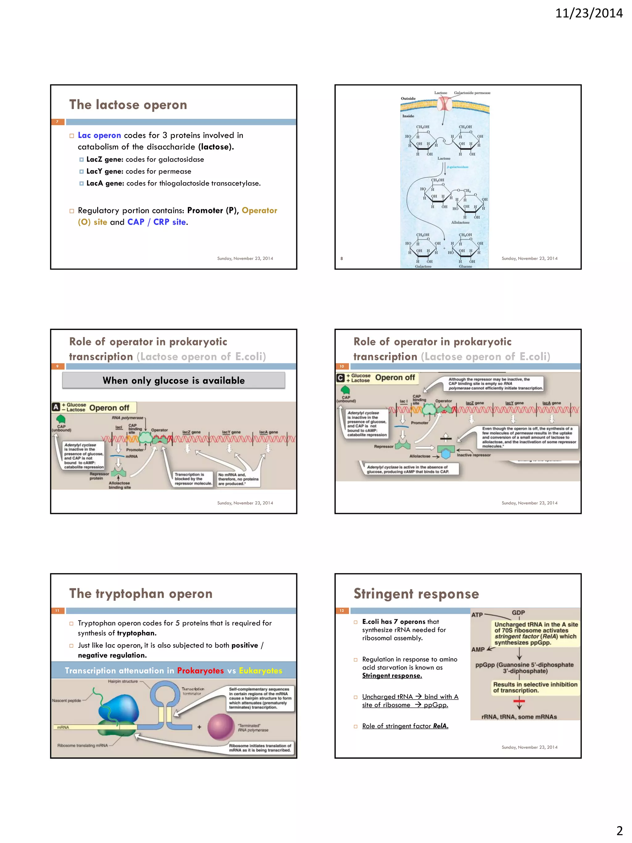 Gene expression | PDF | Chemistry | Science