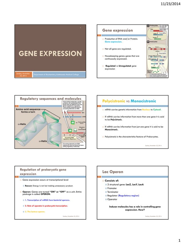 Gene expression | PDF | Chemistry | Science
