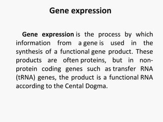 Gene Expression Definition