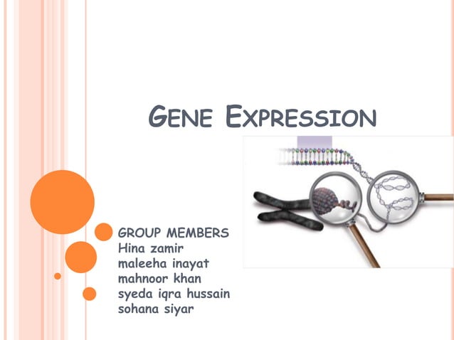 Gene expression | PPTX | Programming Languages | Computing