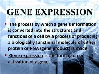 Gene expression: Translation and Transcription | PPT