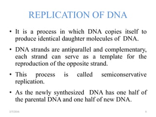 Gene expression | PPT