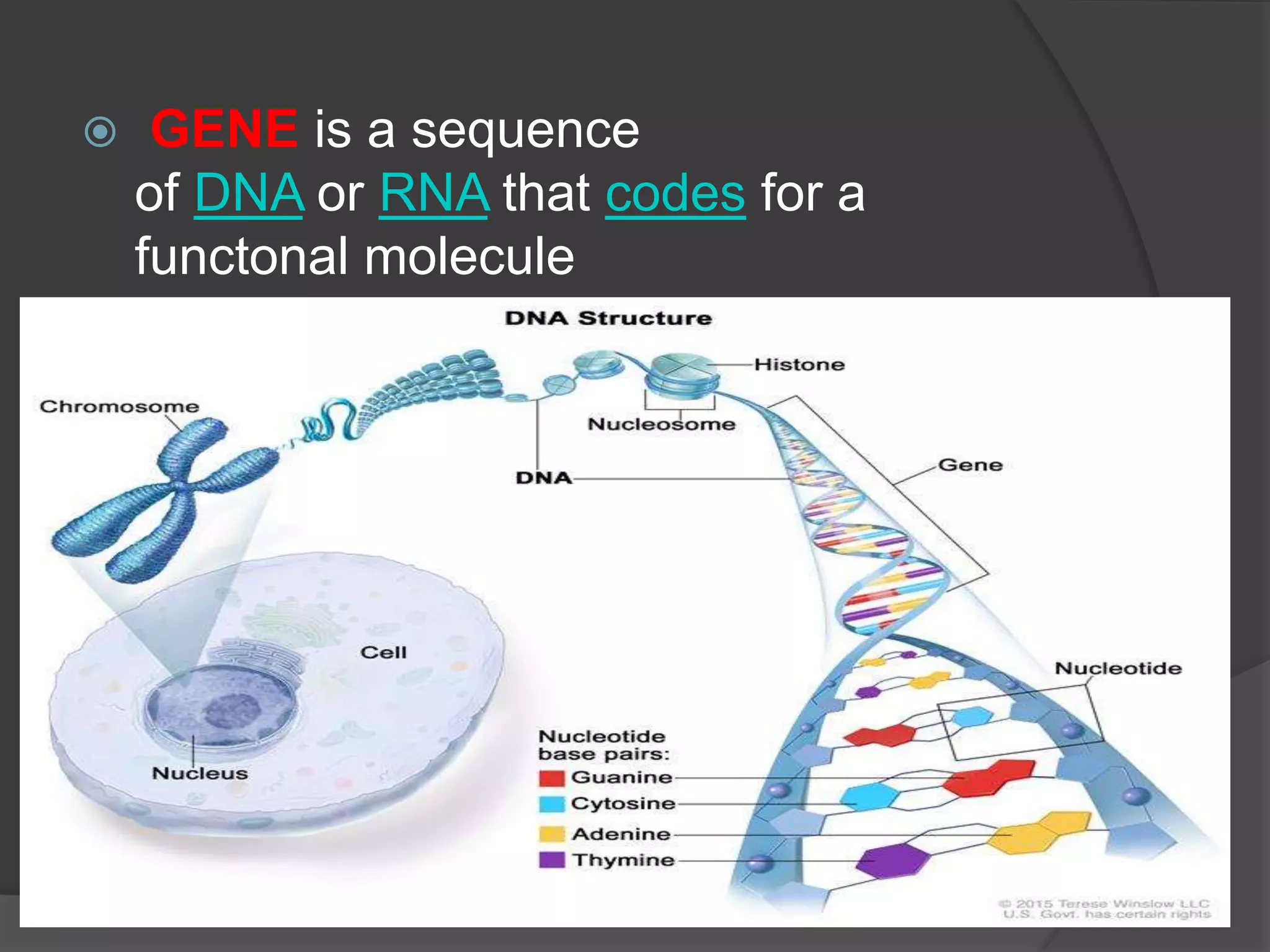 Gene expression | PPTX | Chemistry | Science