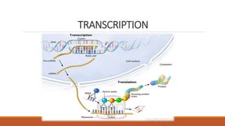 Gene expression | PPTX