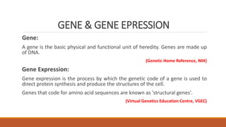 Gene expression | PPTX