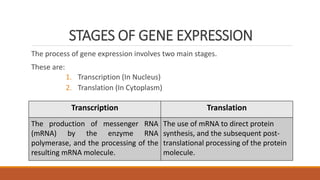 Gene expression | PPTX
