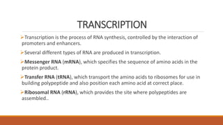 Gene expression | PPTX