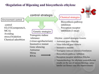 Geneexpression | PPT