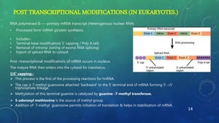 Gene expression | PPTX