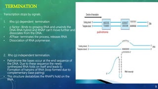 Gene expression | PPTX