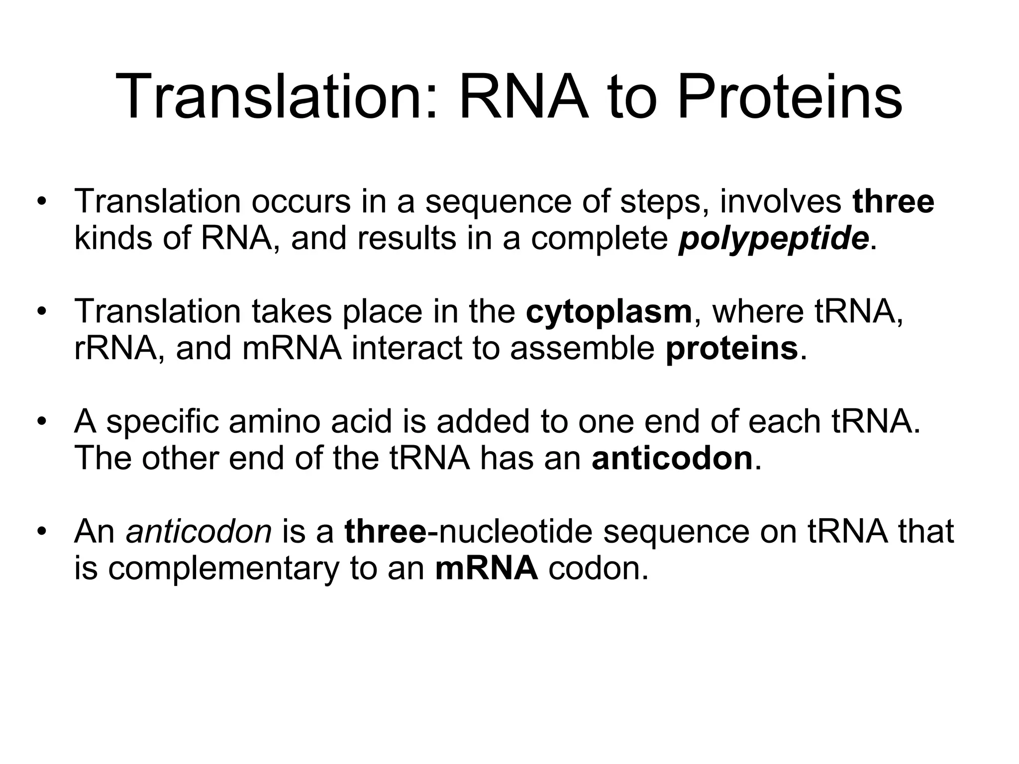 gene expression.ppt