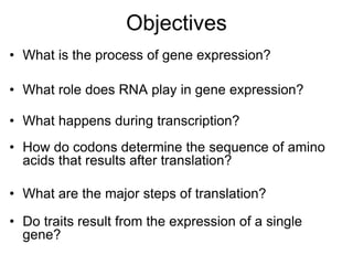 gene expression.ppt