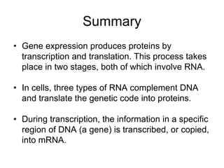 gene expression.ppt