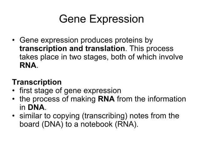 gene expression.ppt | Programming Languages | Computing