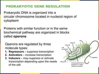 Gene_Expression.pptx