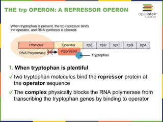 Gene_Expression.pptx