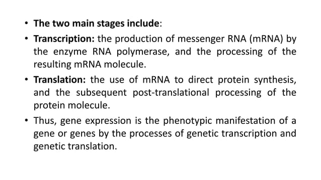 Gene expression.pptx