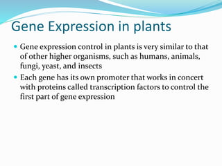 gene expression.pptx