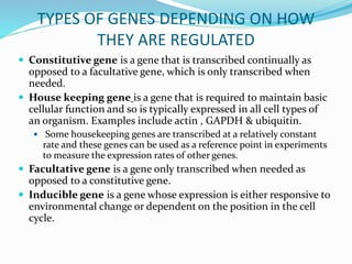 gene expression.pptx