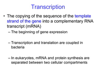 Gene Expression in molecular biology.pptx