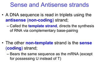 Gene Expression in molecular biology.pptx