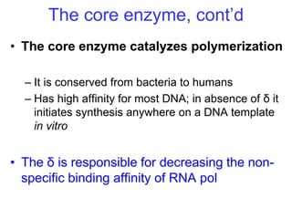 Gene Expression in molecular biology.pptx