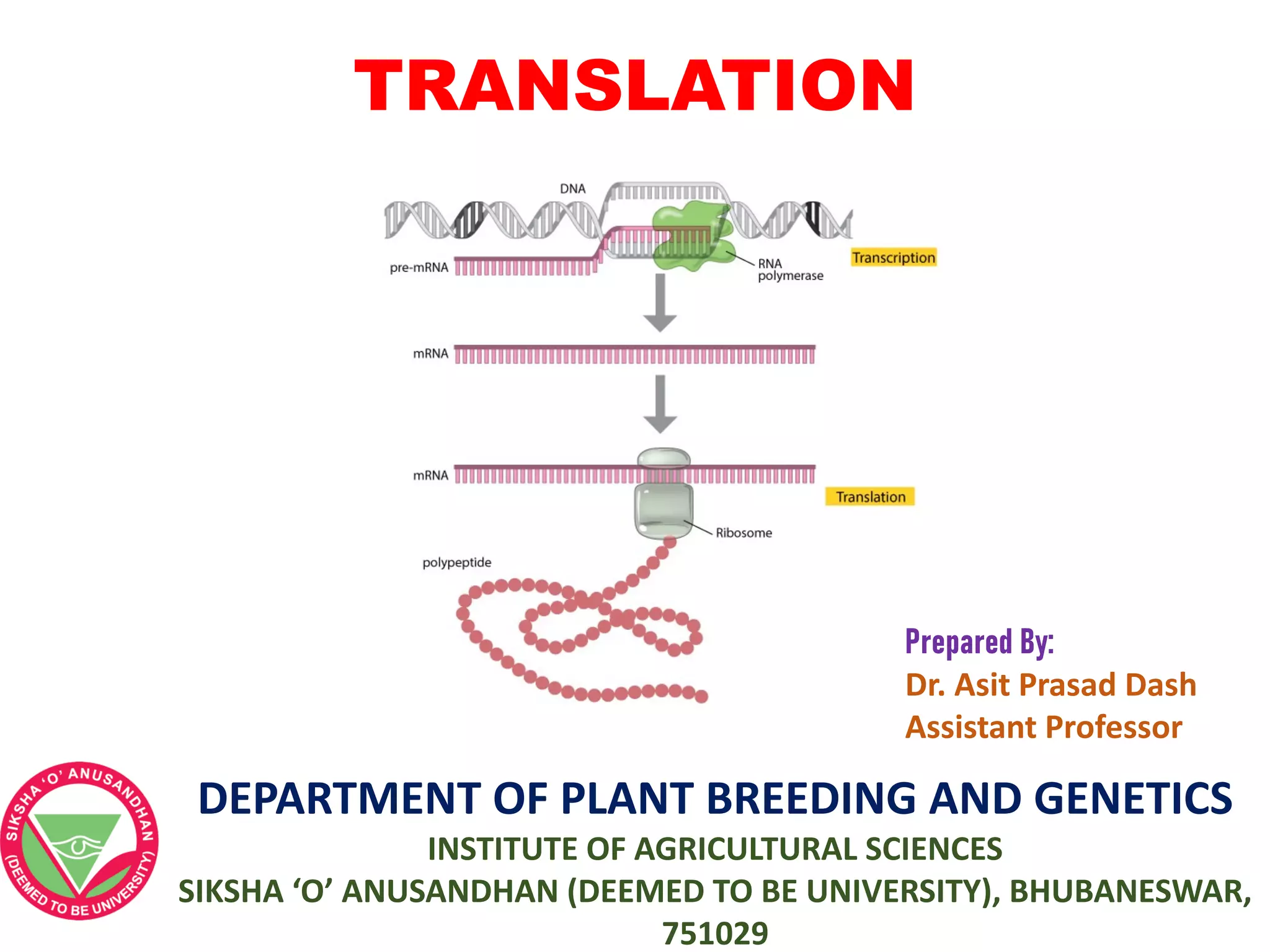 Gene Expression: Translation | PDF