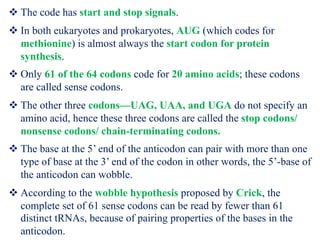 Gene Expression: Translation | PDF
