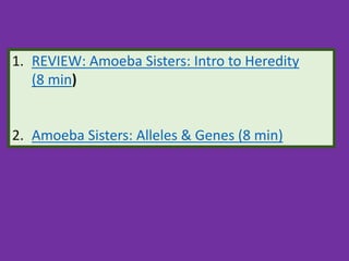 Gene Expression 1 Genetics Notes | PPT