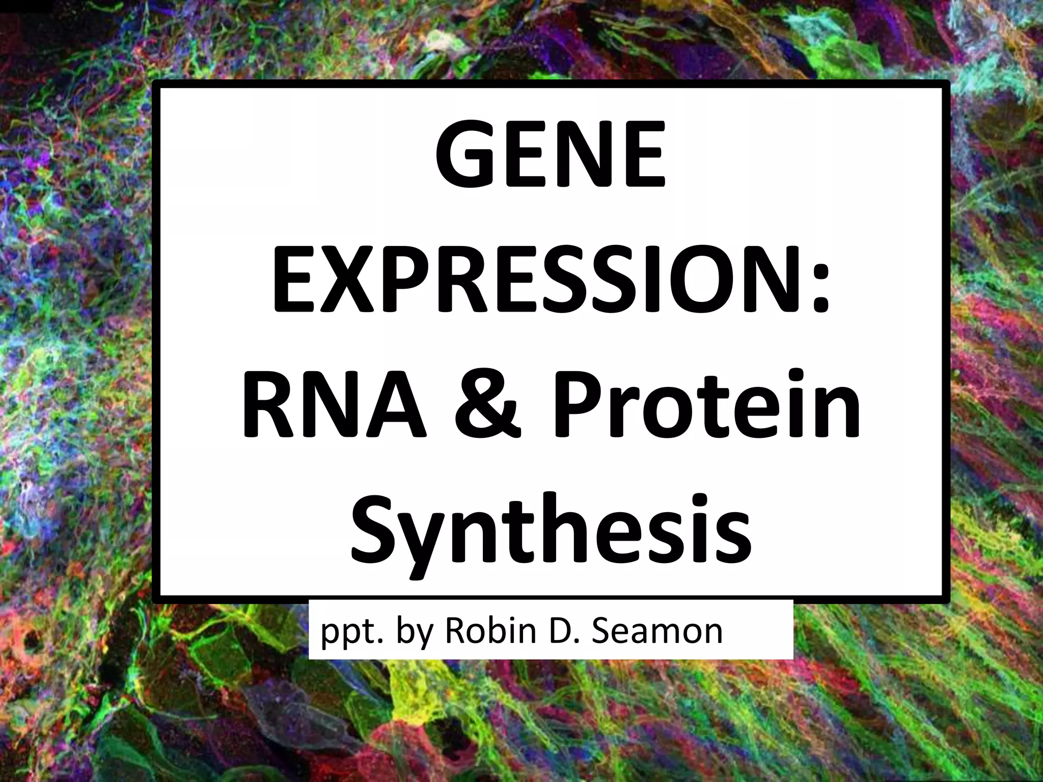 Gene expression/ RNA & Protein Synthesis | PPTX