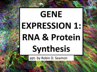 Gene Expression/ Protein Synthesis | PPTX
