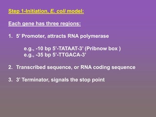Gene Expression_AA1.ppt