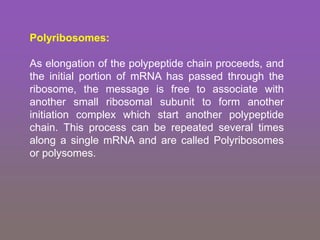 Gene Expression_AA2.ppt