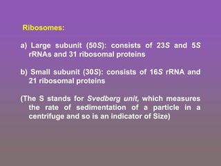 Gene Expression_AA2.ppt
