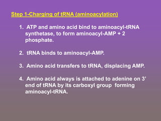 Gene Expression_AA2.ppt