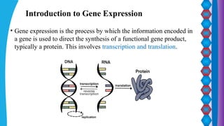 Gene Expression slides for medical students.pptx