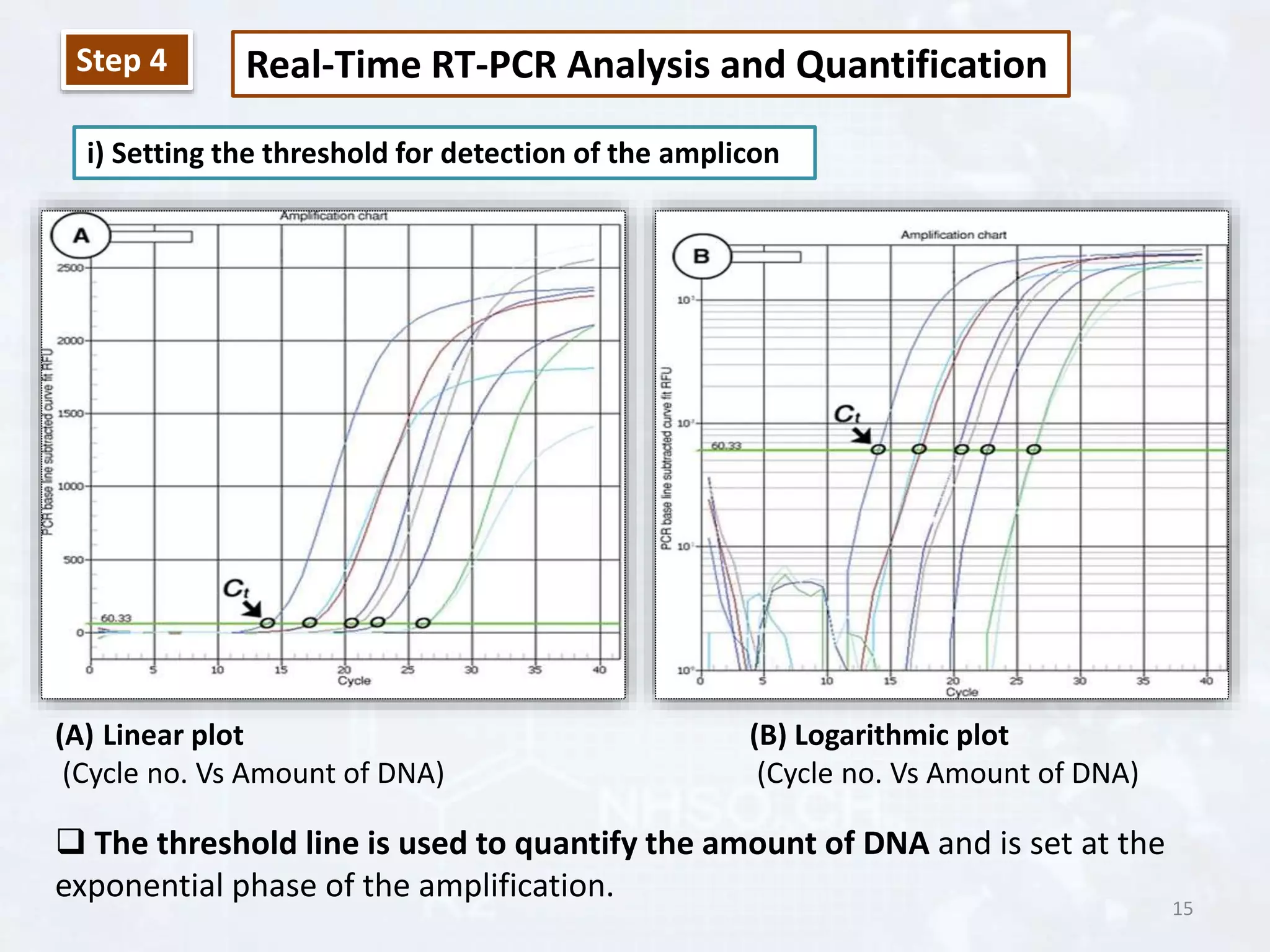 Gene Expression Analysis by Real Time PCR | PPTX