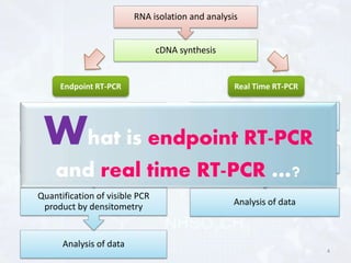 Gene Expression Analysis by Real Time PCR | PPTX