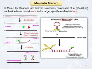 Real Time Pcr Diagram