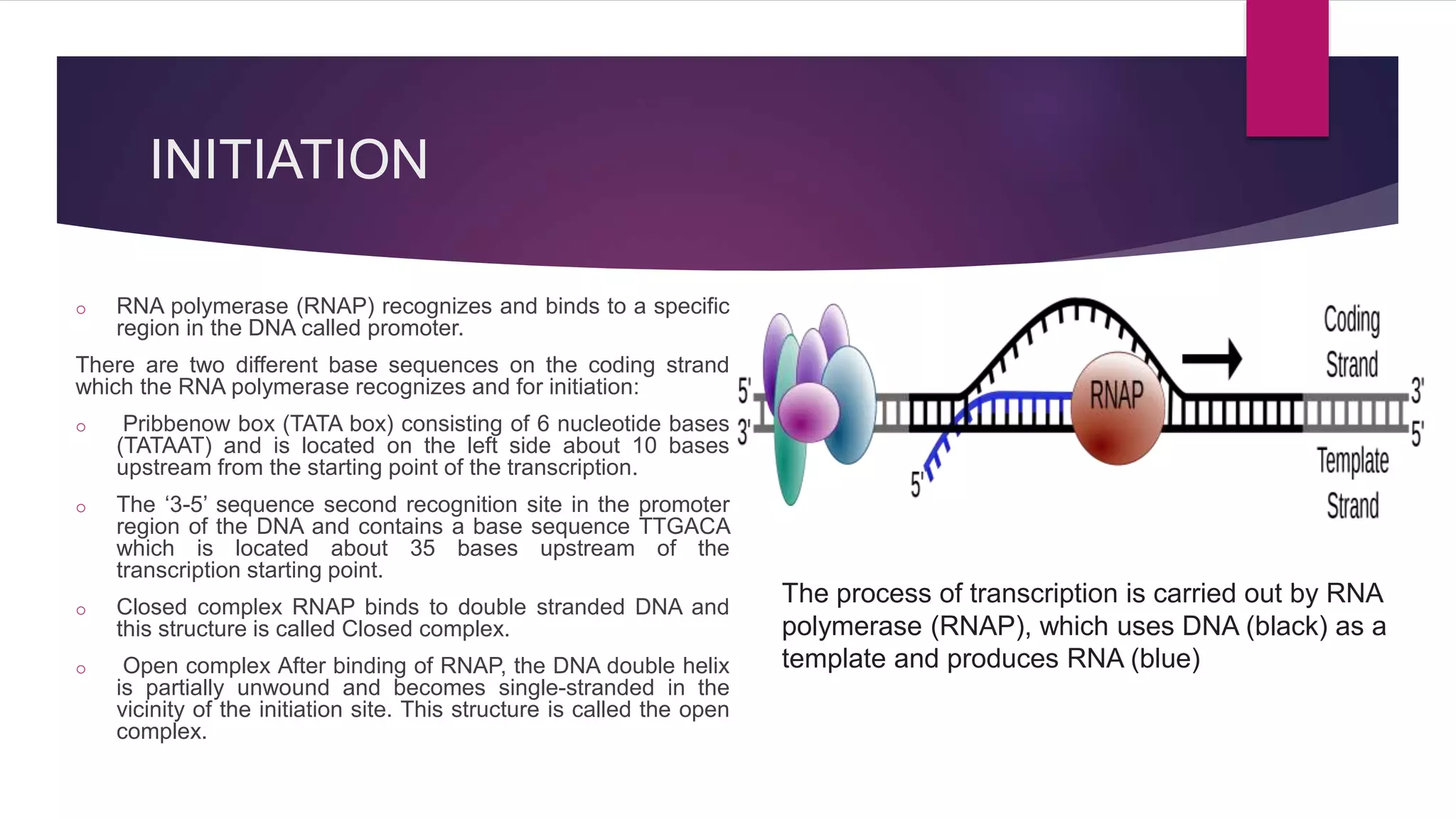 GENE EXPRESSION AND IT’S REGULATION.pptx