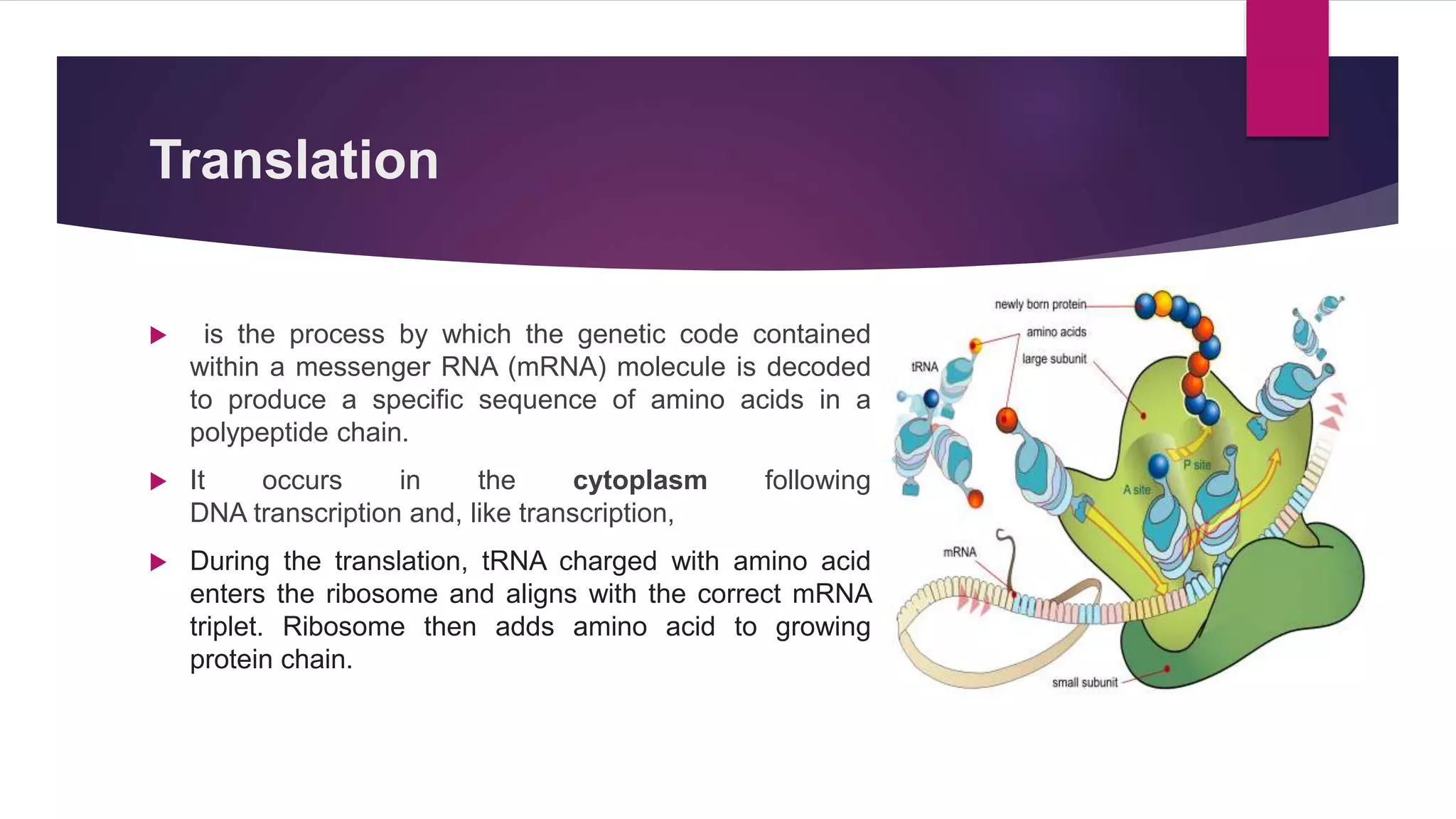 GENE EXPRESSION AND IT’S REGULATION.pptx
